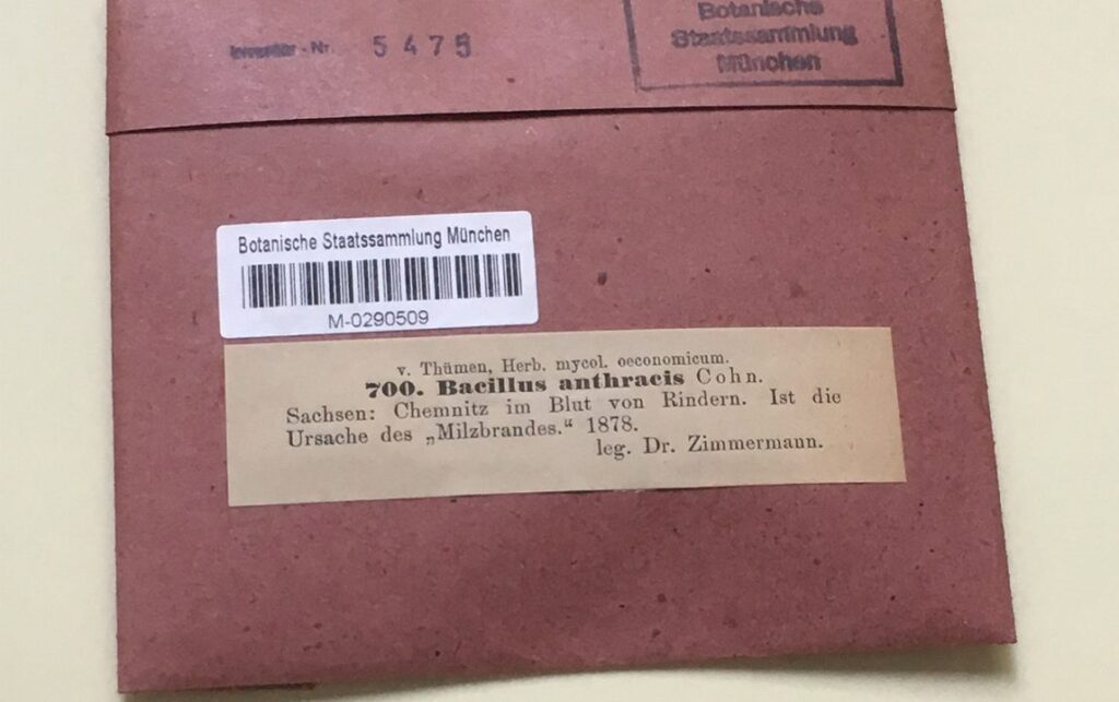 Botanische Staatssammlung München » A rare glimpse into the past of the ...